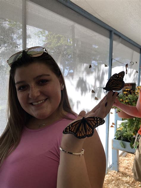 Pin By Brenda Darlene On Window Displays Window Display Display Windows