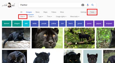 How To Search Google Images By The Exact Size 6 Steps