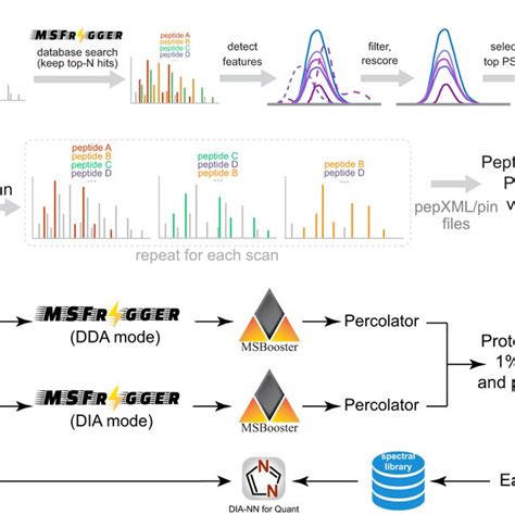 overview of msfragger dia in fragpipe a dia spectra are searched by