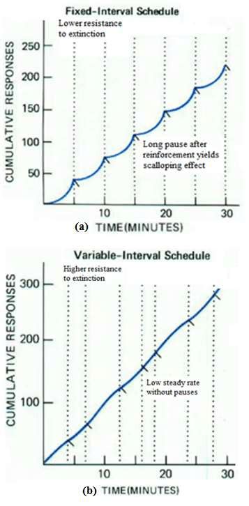 A Skinner Fixed And B Variable Interval Schedule Download