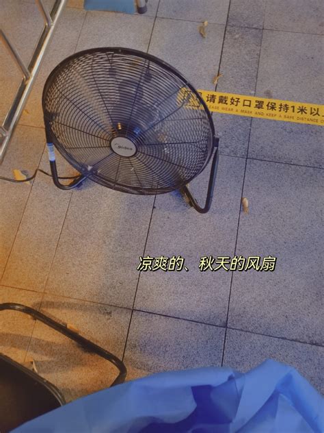 抓住假期的尾巴去干正事啊！💪 美图社区 美图秀秀
