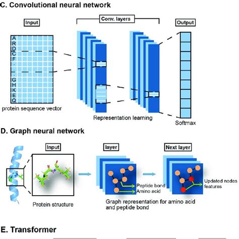 Neural Network Methods A A Multilayer Perceptron Mlp Is A Class Of