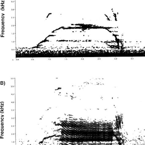 Comparisons of 19 bugle calls of male North American elk n ¼ 10 Download Scientific Diagram