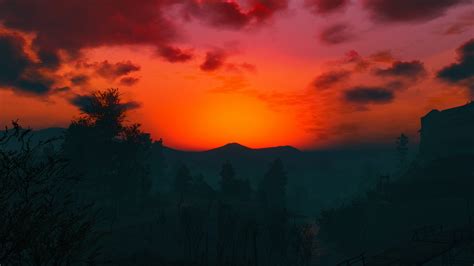 배경 화면 구름 분위기 잔광 Natural Landscape 주황색 황혼 햇빛 아침에 붉은 하늘 적운 일몰 해돋이 식물 나무 수평선 경치