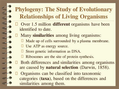 Solution Classification Of Microorganisms Studypool