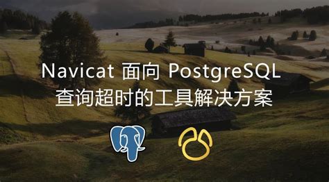 Navicat 面向 Postgresql 查询超时的工具解决方案 腾讯云开发者社区 腾讯云