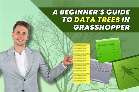 A Beginners Guide To Data Trees In Grasshopper