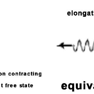 The Illustration Of Wave Function Of Hydrogen Atom In Download Scientific Diagram