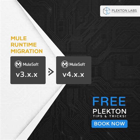 Mulesoft Plektonlabs Mule4 Plektonlabs
