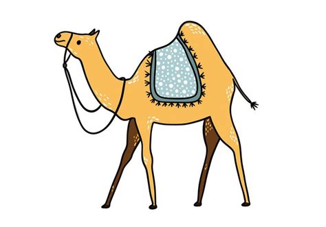 24 Easy Camel Drawing Ideas How To Draw The Camel Diyscraftsy