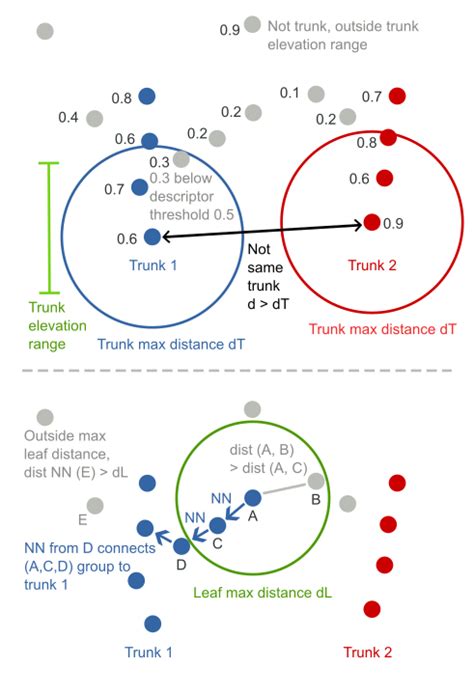 3d Forest User Manual