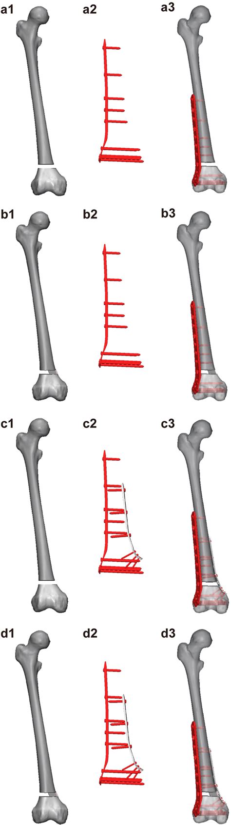 Construction Of The Four Three Dimensional Models A1 A3 Model 1 Is Download Scientific