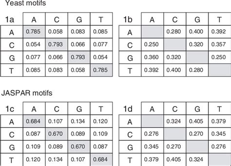 Table 1 From A Graph Based Motif Detection Algorithm Models Complex