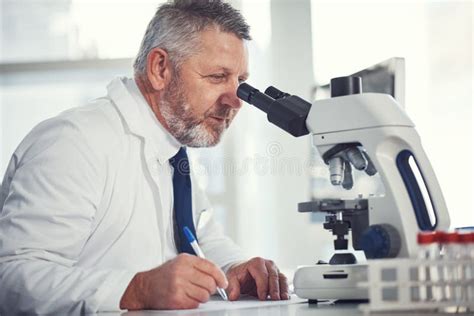 Lets See What We Have Herea Mature Scientist Using A Microscope In A