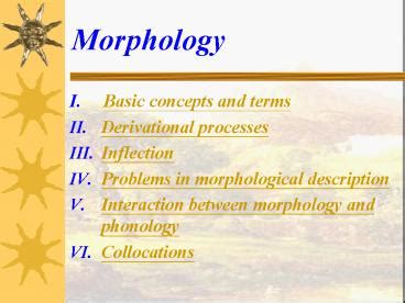 PPT Morphology PowerPoint Presentation Free To Download Id B Ee MTVjN