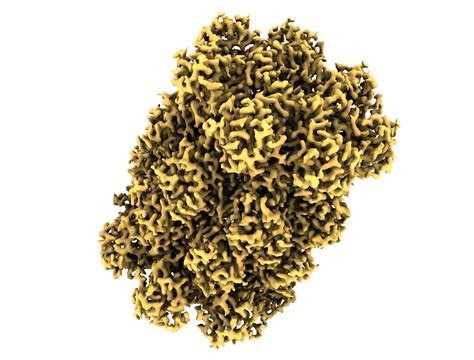 Performance Metrics Cryosparc Guide