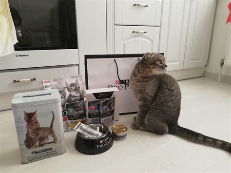 Наш лучший выбор - Purina pro plan - ПетОбзор