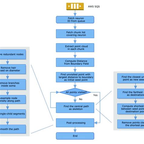 Skeletonization Computation In A Worker Download Scientific Diagram