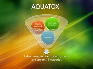 An Introduction To Water Quality Models PPTX