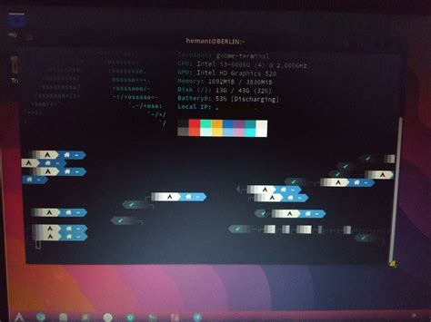 Terminal Glitch While Adjusting Width Of The Window Rmanjarolinux