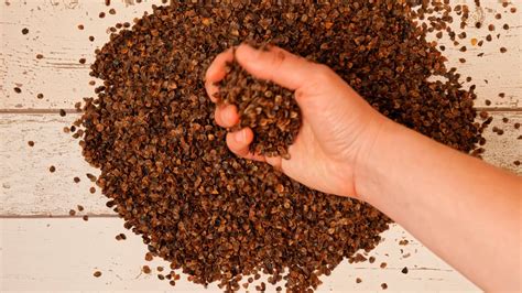 Buckwheat Hulls Buckwheat Husks Closeup Free Stock Video Pixabay