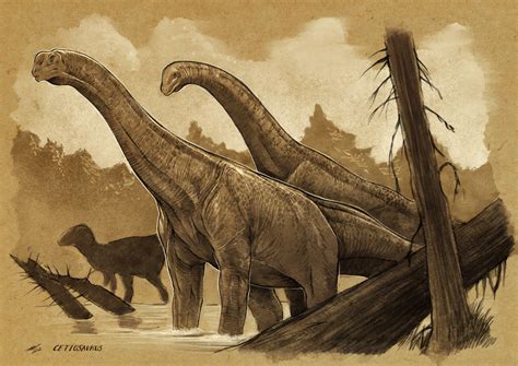 Cetiosaurus