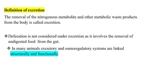 Osmoregulation And Excretion Youtube