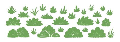 Doodle Grass With Crayon Pastel Or Chalk Texture Organic Hand Drawn