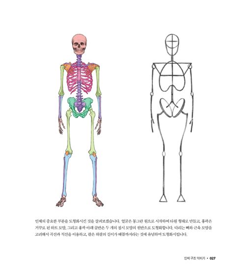 알라딘 미리보기 자연스러운 인체 드로잉