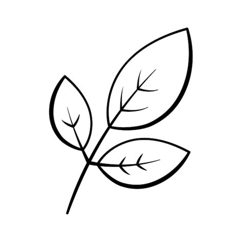 Leaf Vector Png Black And White