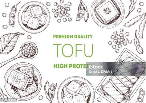 두부 상단보기 프레임 손으로 그린 벡터 일러스트레이션 두부 스케치 아시아 음식 콩 스케치 두부 요리 비건 음식 빈티지 디자인 템플릿 제품 디자인 포장 조리법 책 메뉴에