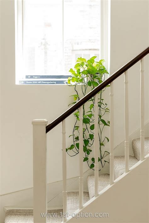 Jenette Shoot Location London St Option