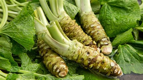 Wat Is Wasabi Plukke