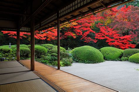 詩仙堂 紅葉