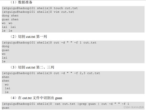 Shell编程入门（超全学习笔记） Csdn博客