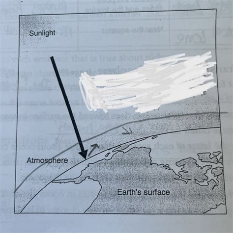 Biology Chapter 4 Flashcards Quizlet