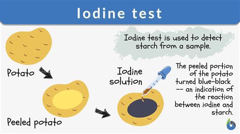 Iodine Test Definition And Examples Biology Online Dictionary