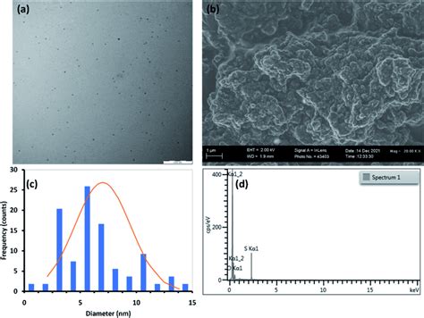 A TEM Image B SEM Image C Particle Size Distribution And D Download Scientific