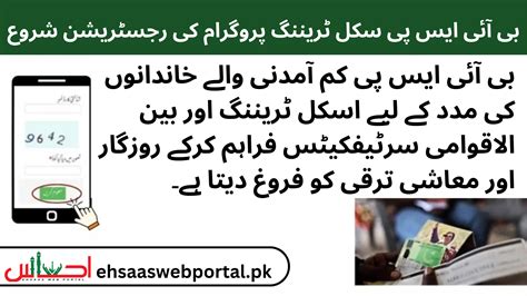 bisp skill training program