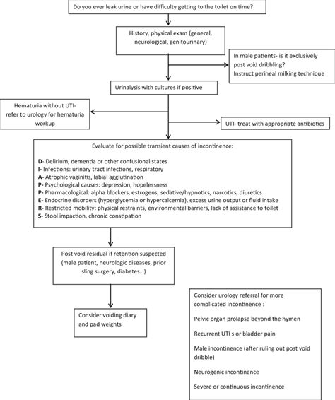 Flowchart In The Diagnosis Of Urinary Incontinence In Adults Download Scientific Diagram