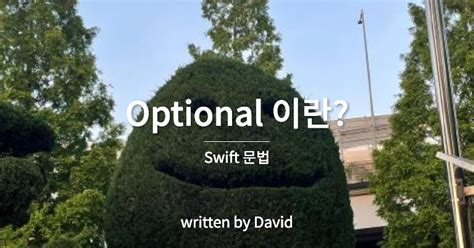 Swift Optional