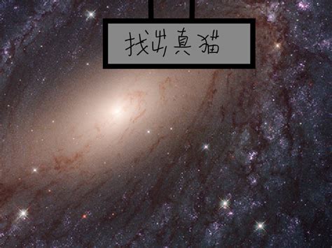 Scratch草稿 666 侯老师编程网站codinghoucn Scratch编程教程与创作社区