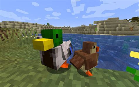 Untitled Duck Mod 1 16 5 Minecraft PC