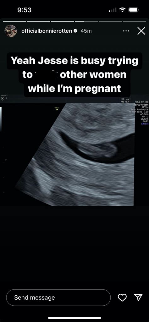 Jesse James Pregnant Wife Accuses Him Of Cheating