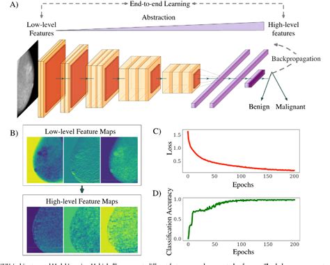 Figure From Convolutional Neural Networks For Breast Cancer Detection In Mammography A Survey