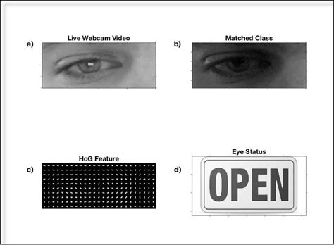 Matlab Prototype Of Real Time Open Eye Svm Prediction A Real Time Download Scientific Diagram