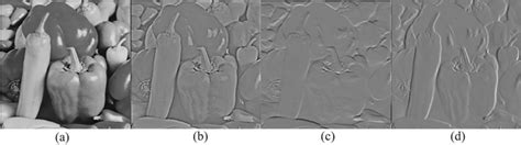 Monogenic Wavelet Transform At The Third Scale From Left To Right A