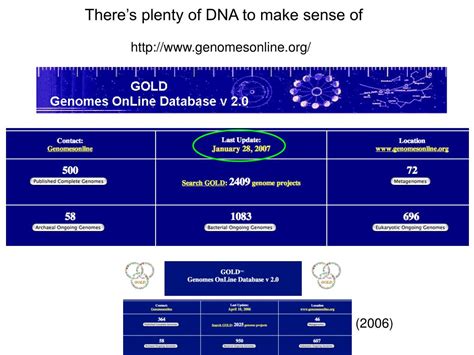 PPT DNA Sequencing Methods PowerPoint Presentation Free Download ID 336701