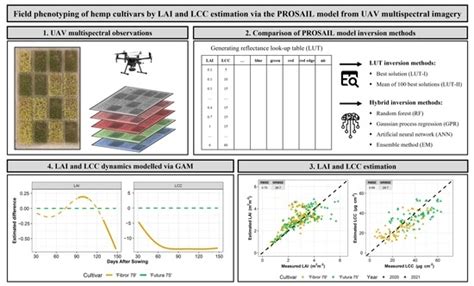 comparison of prosail model inversion methods for estimating leaf