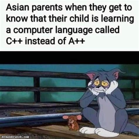 Developers Will Never Read Documentation Breakbrunch